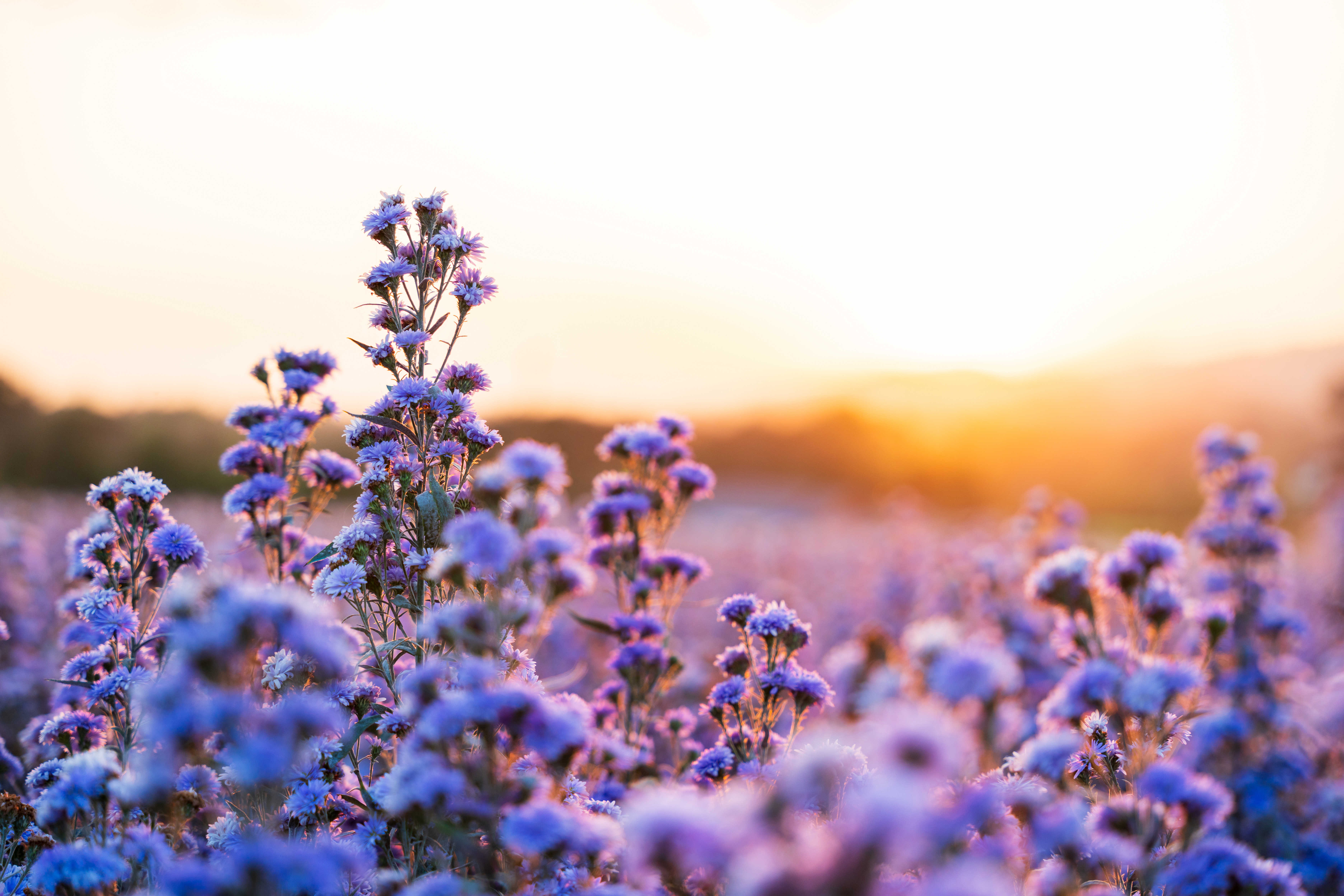 Gateway Cremation Center